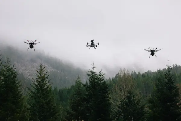 Application Of Drones In Forestry - DroidMen